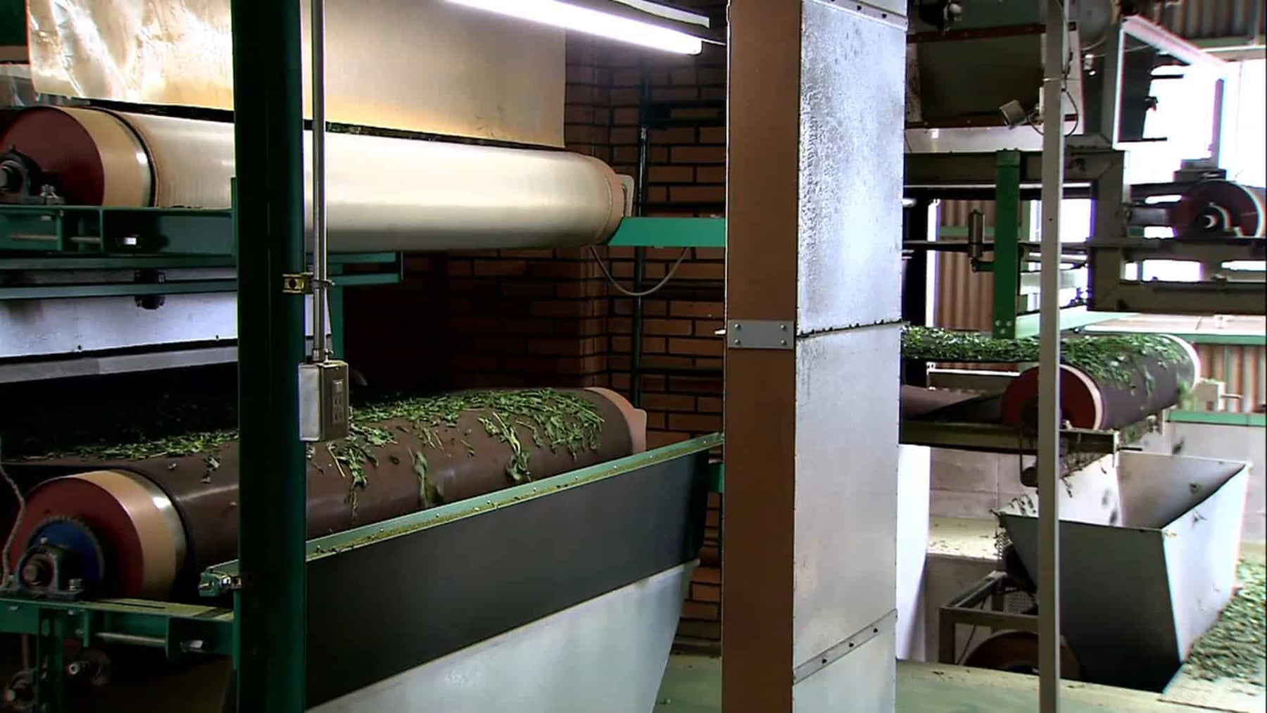 Our Matcha – Best Japanese Matcha